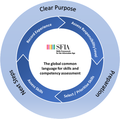 SFIA Skills Self Assessment — English