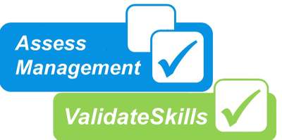 The global skills and competency framework for the digital world — English